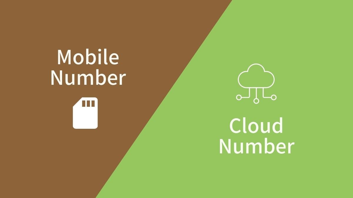 Why is cloud phone service the best choice for a new company?｜EVOX Blog